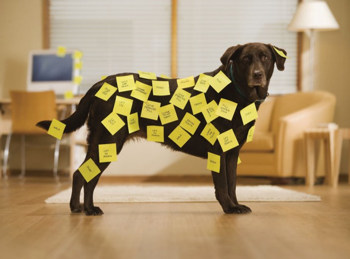 January « 2012 « judgmental observer